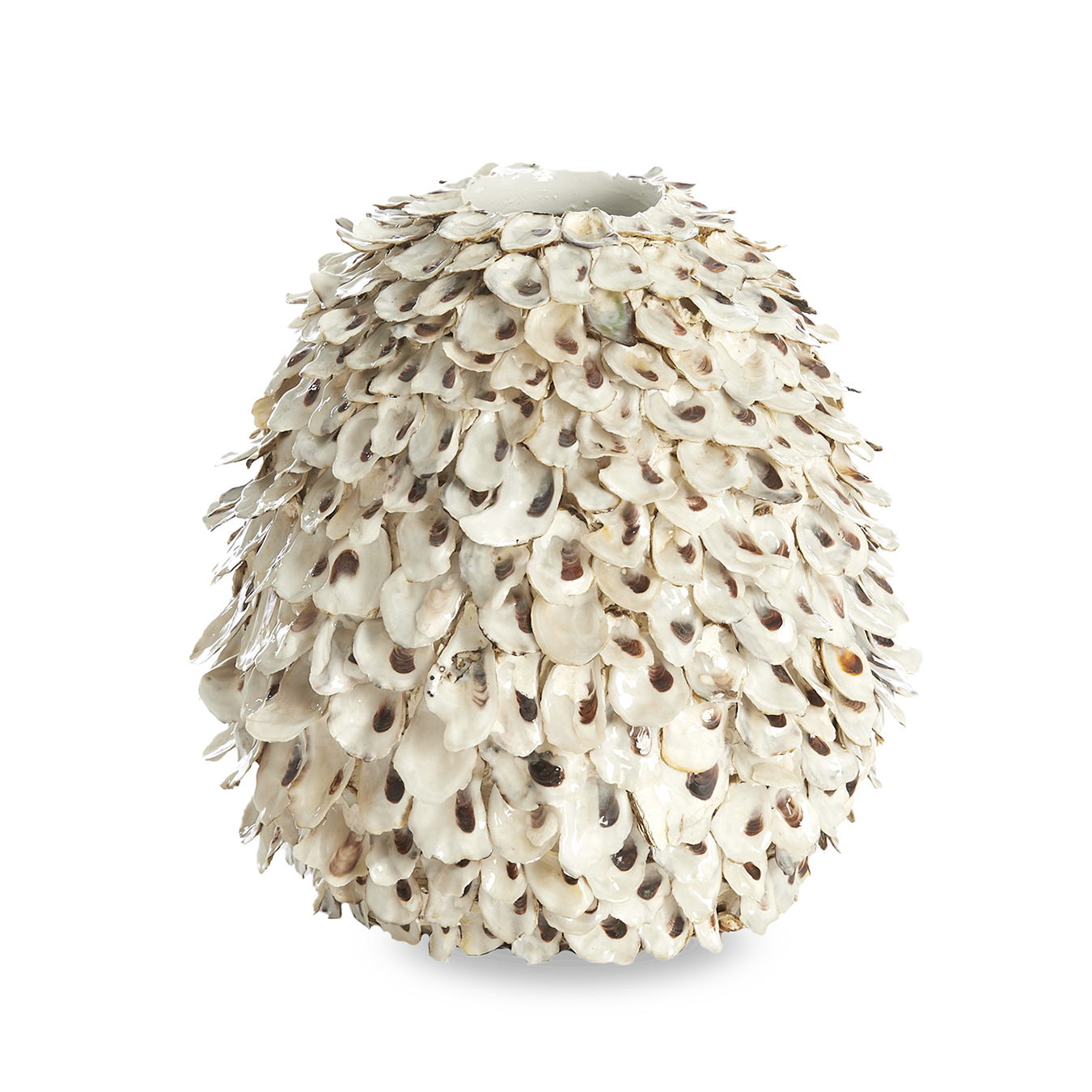 Vaas Ursula – BOT Wormerveer